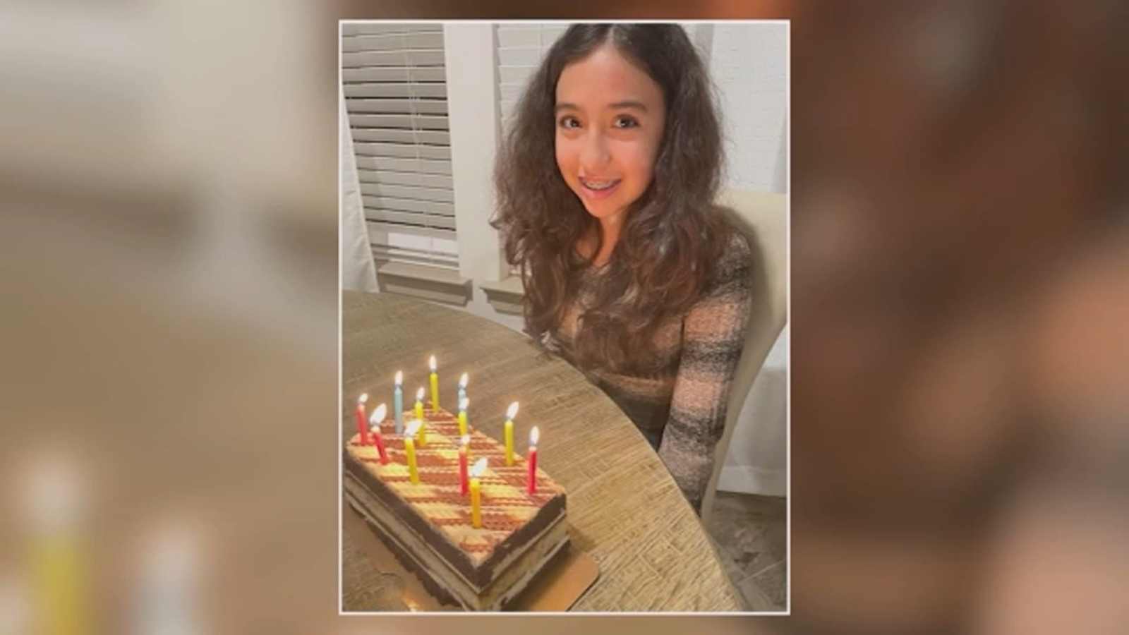 Jocelyn's law failed in legislature, but her murder suspects expected ...
