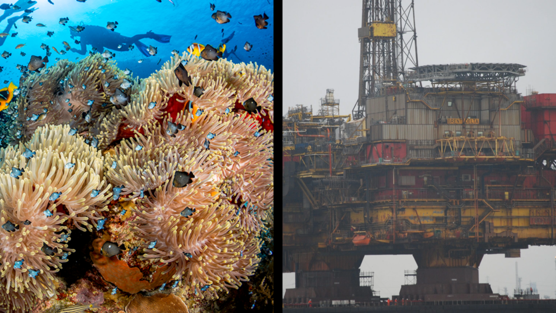 Bipartisan bill aims to turn retired Gulf oil rigs into artificial ...
